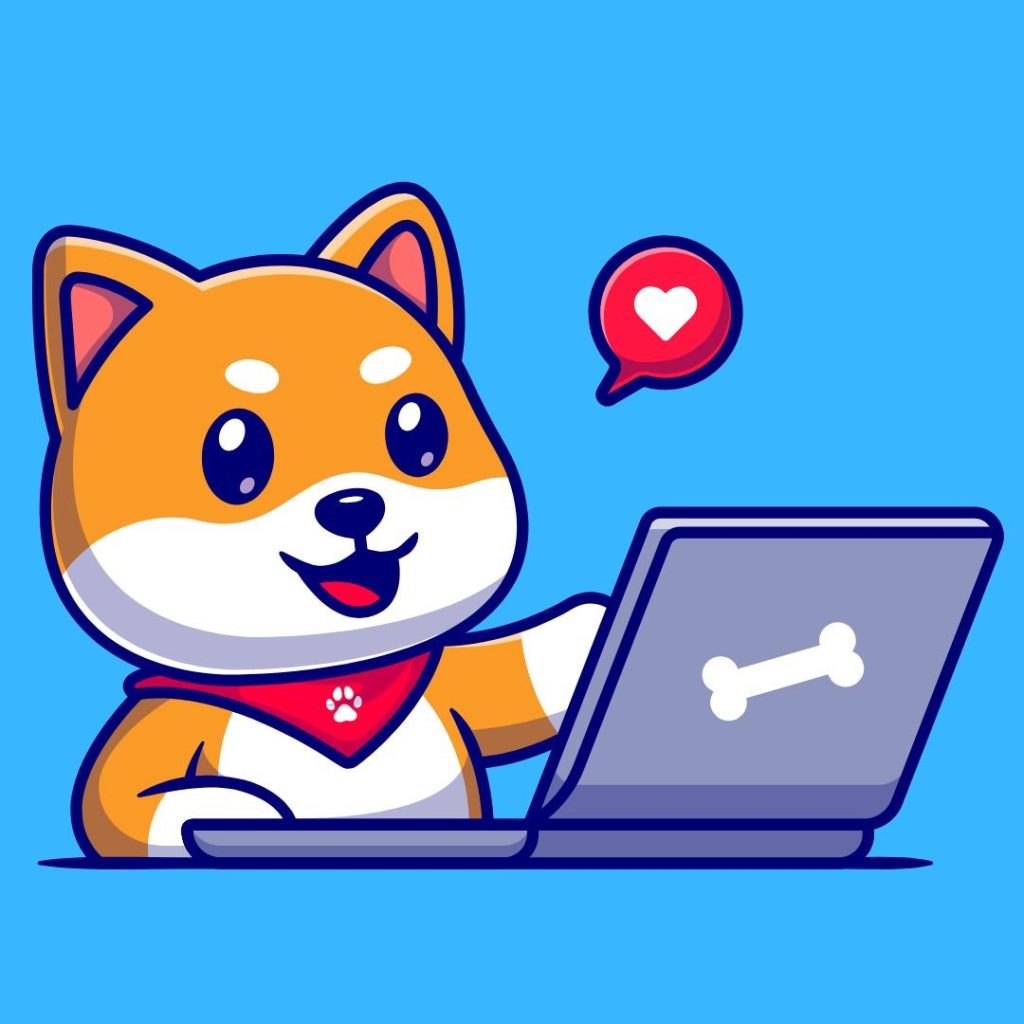 Anglophone South School District